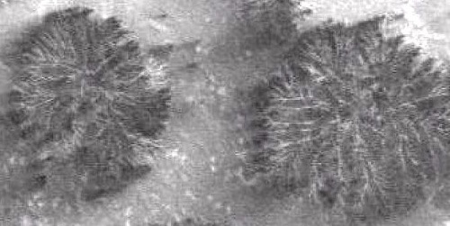 Datei:Mars Banyan Trees.jpg – Atlantisforschung.de